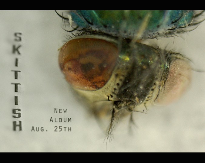 Skittish | The online home of the indie band Skittish