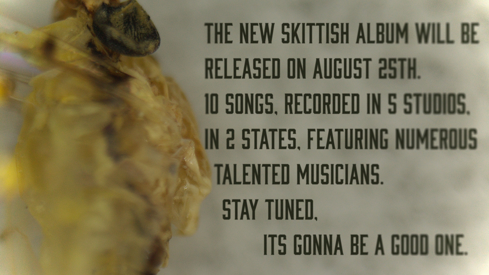 Skittish | The online home of the indie band Skittish